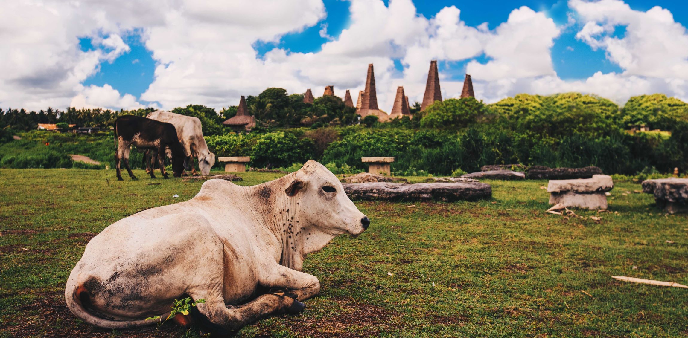 Isla SUMBA en Indonesia 🌴 La GUÍA de VIAJE definitiva [2024]