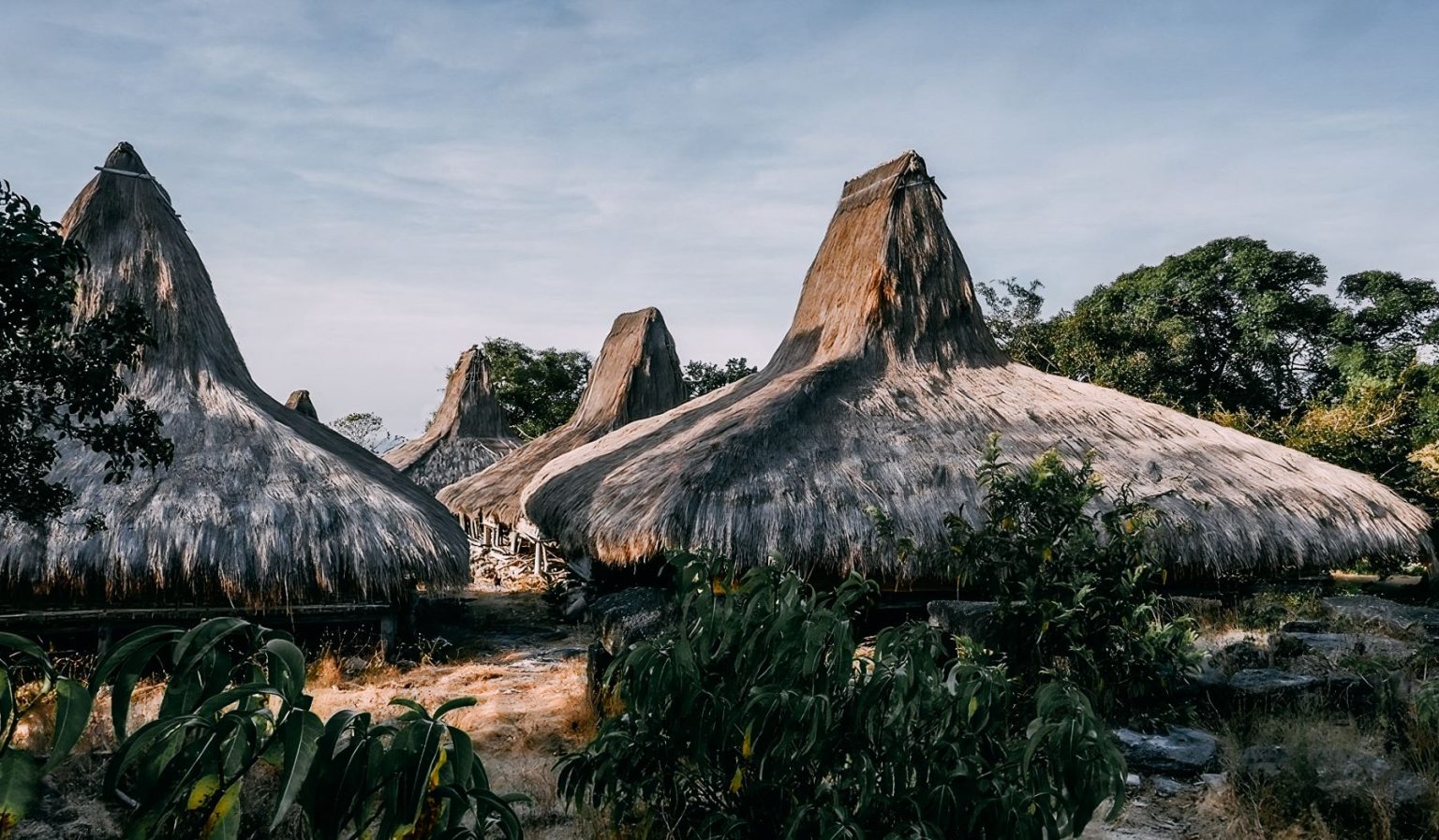 Sumba Tribe 🐎 The Rich Cultural Legacy: History and Traditions