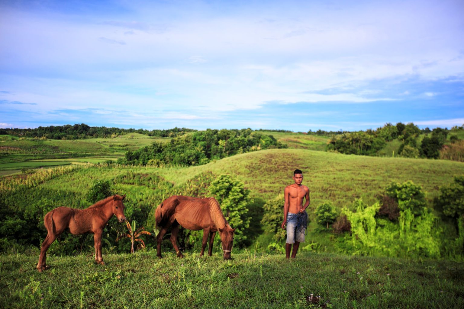 SUMBA Island Regions and Cities 🐎 Indonesia – Explore Sumba