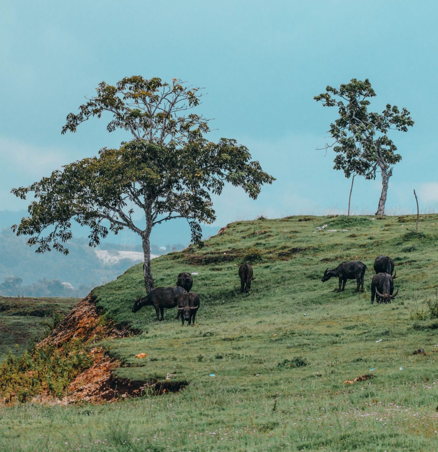 All about Sumba island national park🌴Indonesia – Explore Sumba