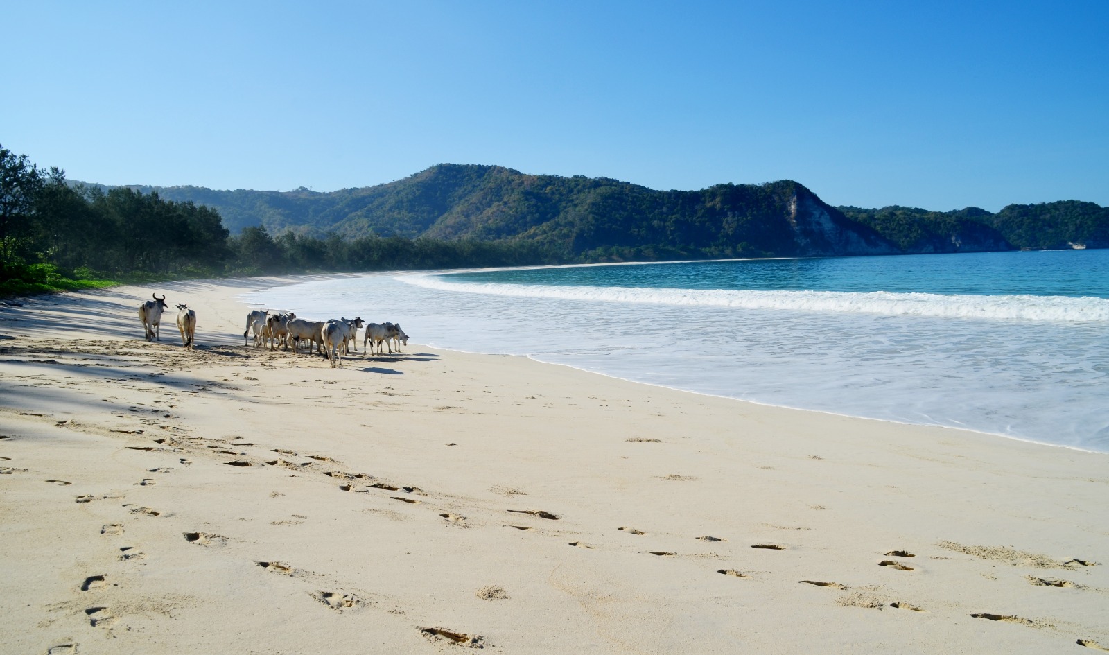 Surfing in Sumba: Ride the Waves of Indonesia’s Wild Paradise